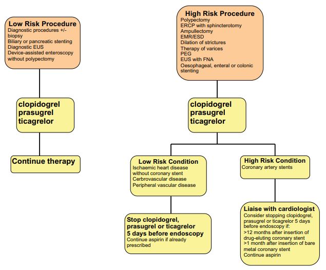 The Master Surgeon Anticoagulation Guidelines For Endoscopy 2016 The Master Surgeon Anticoagulation Guidelines For Endoscopy 2016